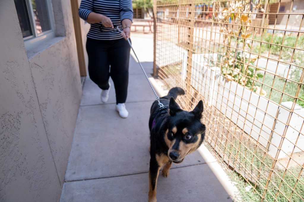 Chicanos Por La Causa De Colores shelter for victims of domestic ...